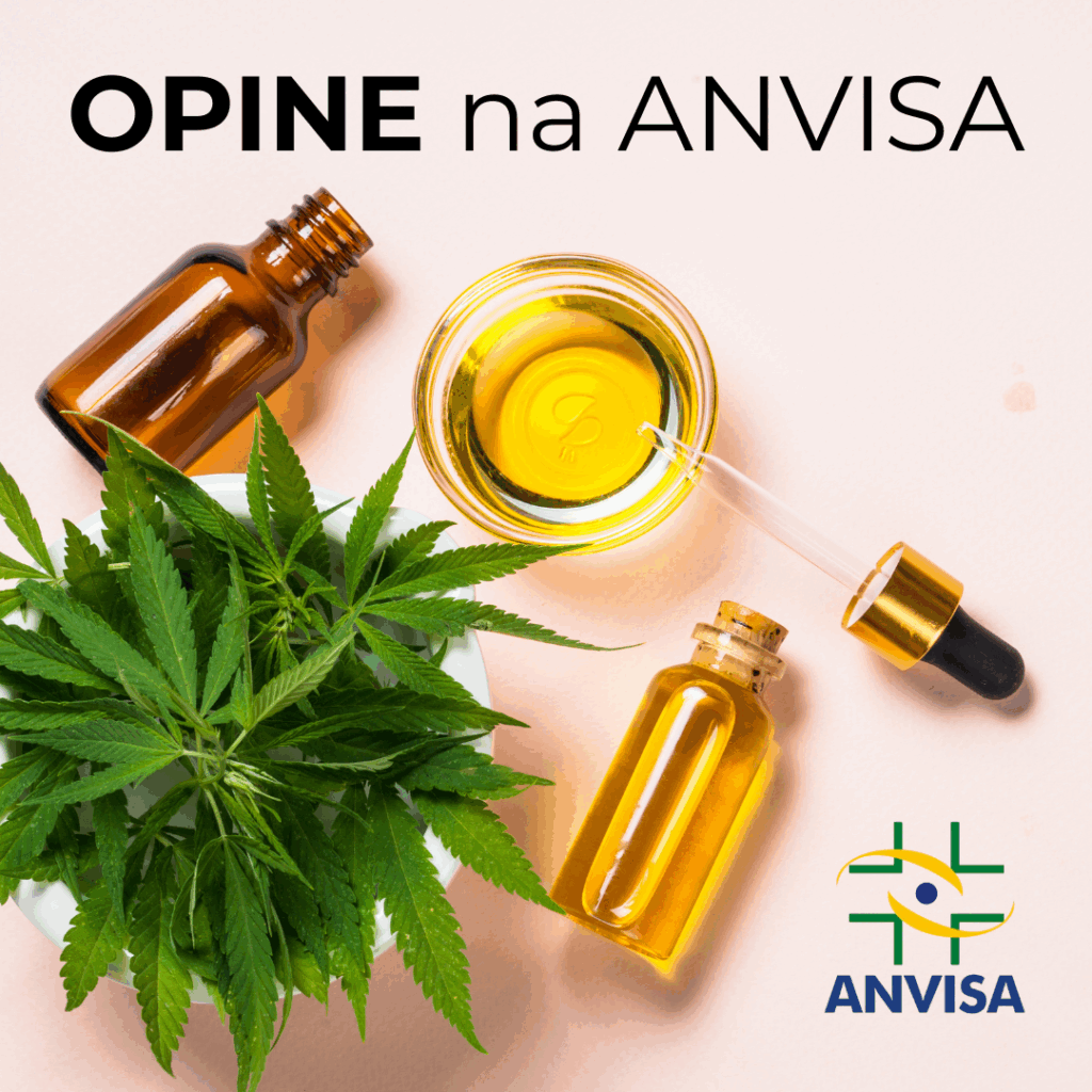 Opine sobre cannabis medicinal na ANVISA – Farmacann
